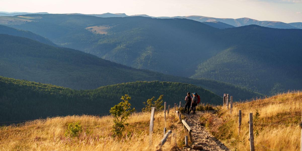 Hiking in the Vosges Mountains | Mulhouse Tourist Office