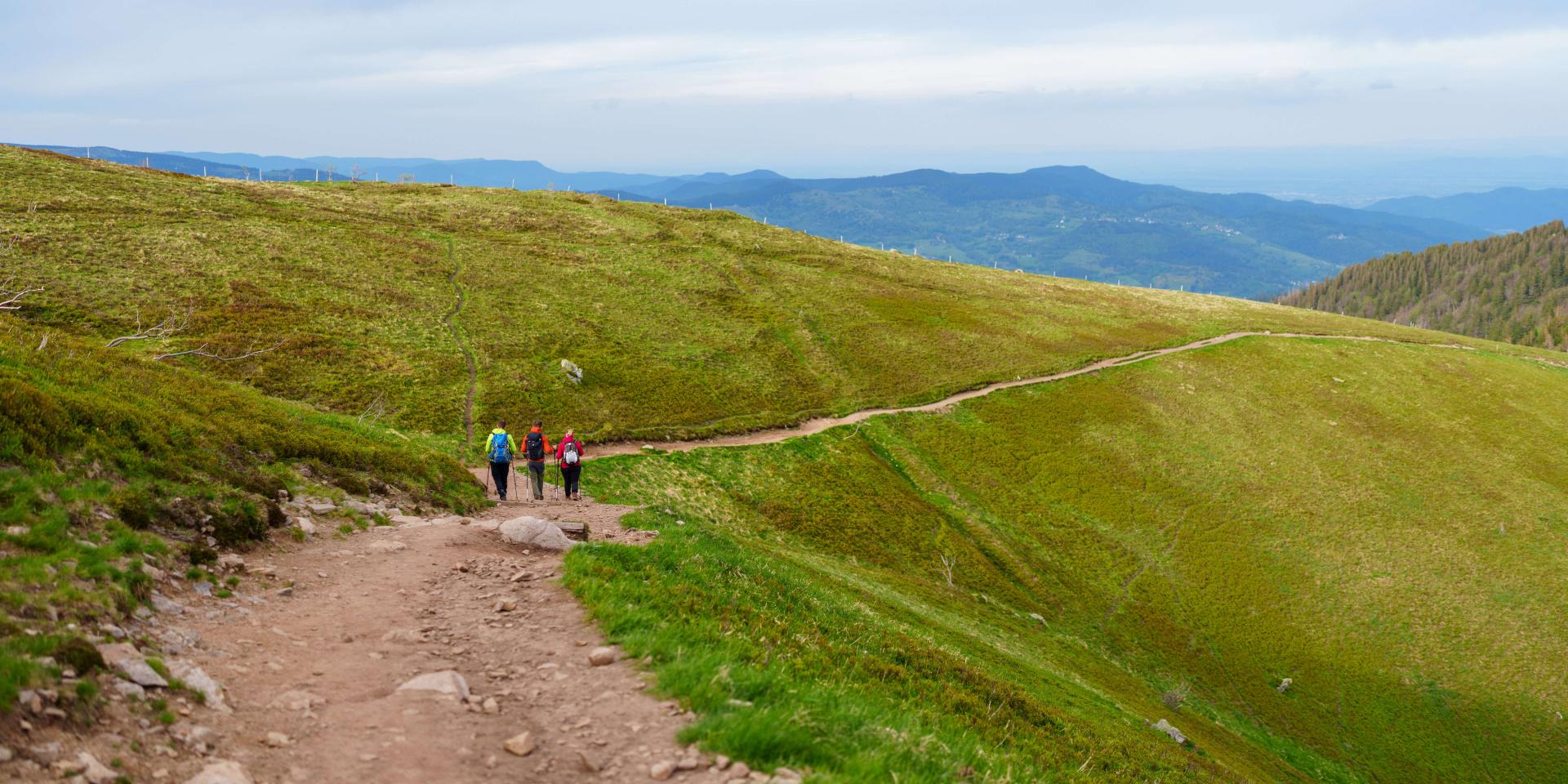 Hiking in the Vosges Mountains | Mulhouse Tourist Office