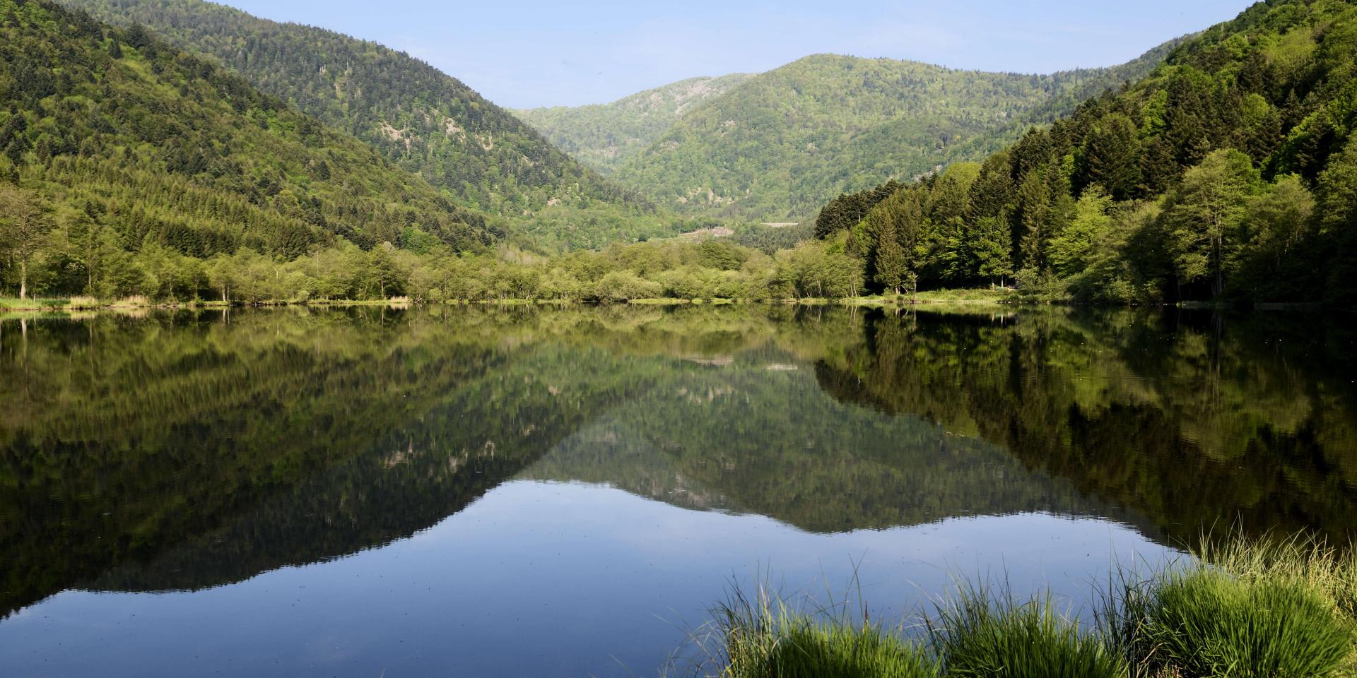 Hiking in the Vosges Mountains | Mulhouse Tourist Office