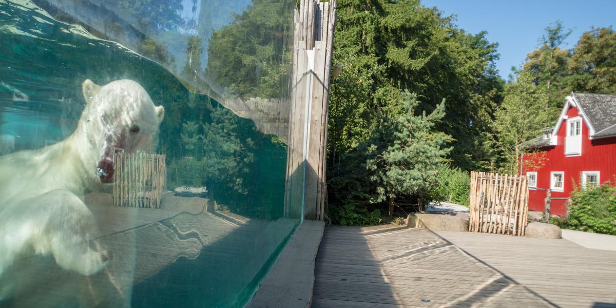 Parc zoologique et botanique | mulhouse-tourisme