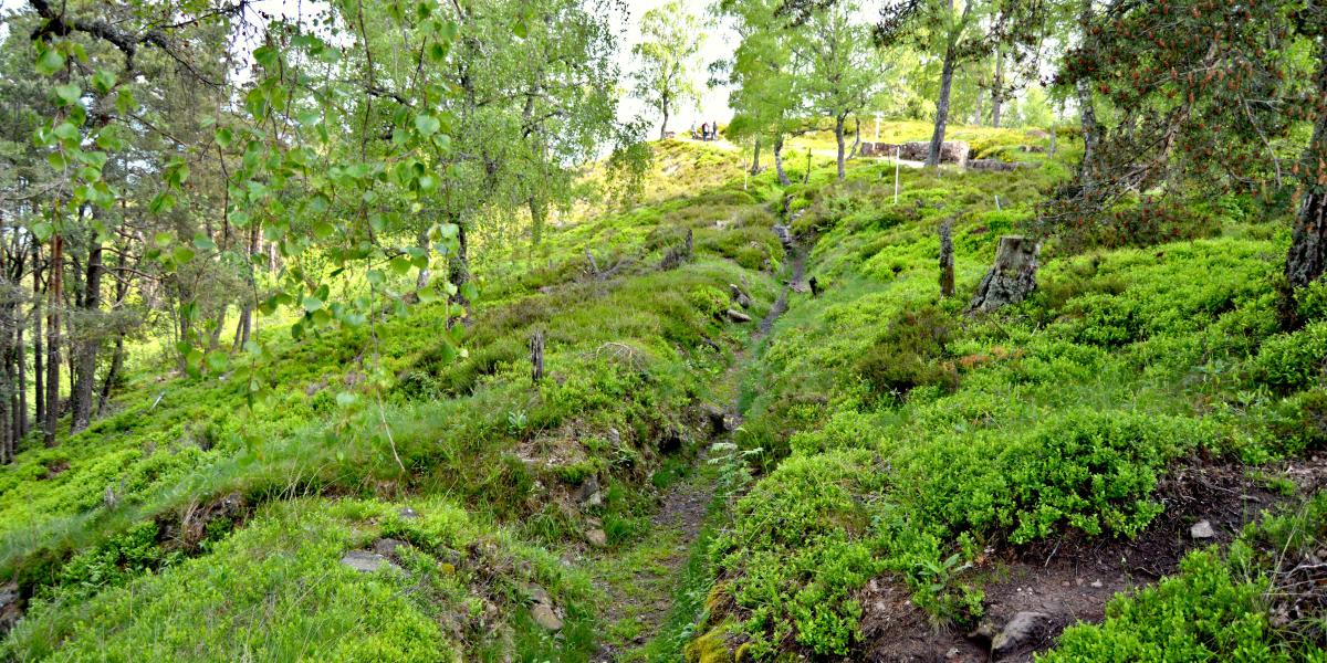 Col du Linge | mulhouse-tourisme